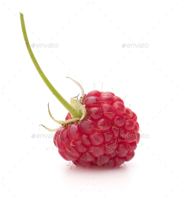 Sweet raspberry isolated on white background cutout Stock Photo by natika
