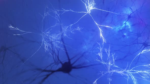 Animation of the Activity of Neurons and Synapses, Motion Graphics