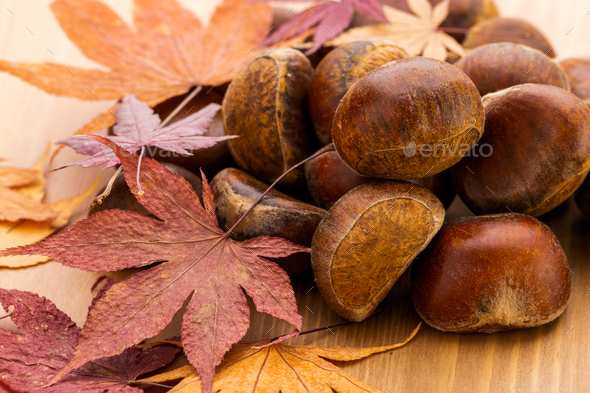 Chestnut and maple Stock Photo by leungchopan | PhotoDune