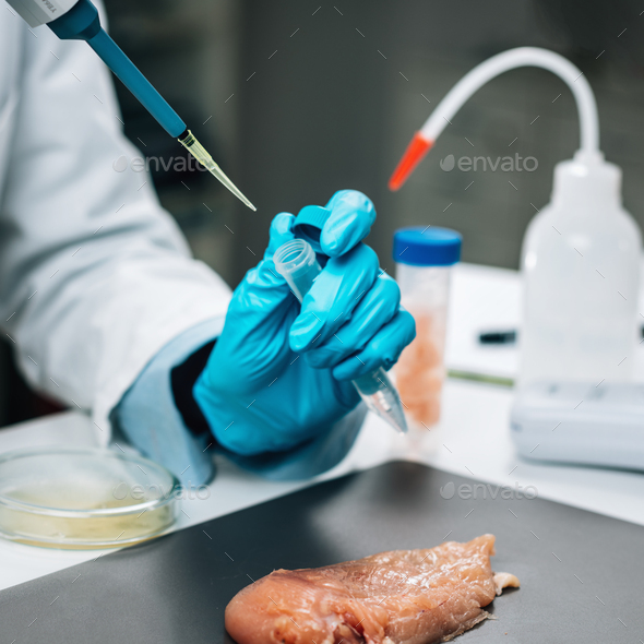 Food Quality Assessment. Stock Photo by microgen | PhotoDune