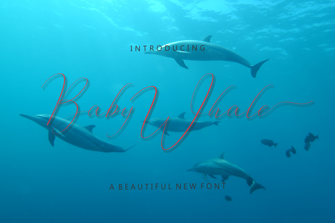 Baby Whale by afnent20 | GraphicRiver