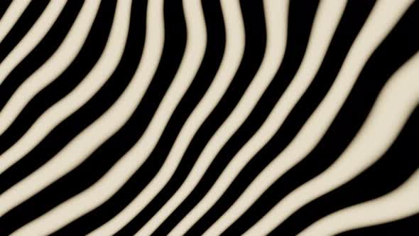 Abstract Black and White Zebra Patten Illusion Seamless Animation ...