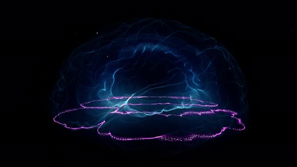 Creative Human Brain 4K V2, Motion Graphics | VideoHive