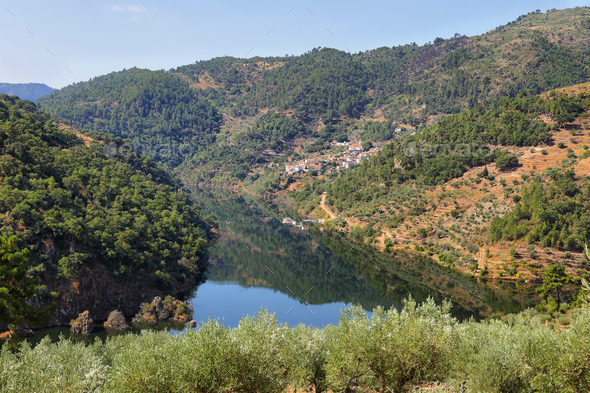 Scenic views over Tua River, Portugal Stock Photo by estivillml | PhotoDune