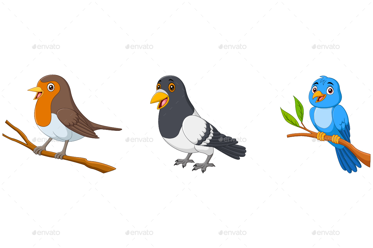 Set of Six Exotic Tropical Birds Cartoon, Vectors | GraphicRiver