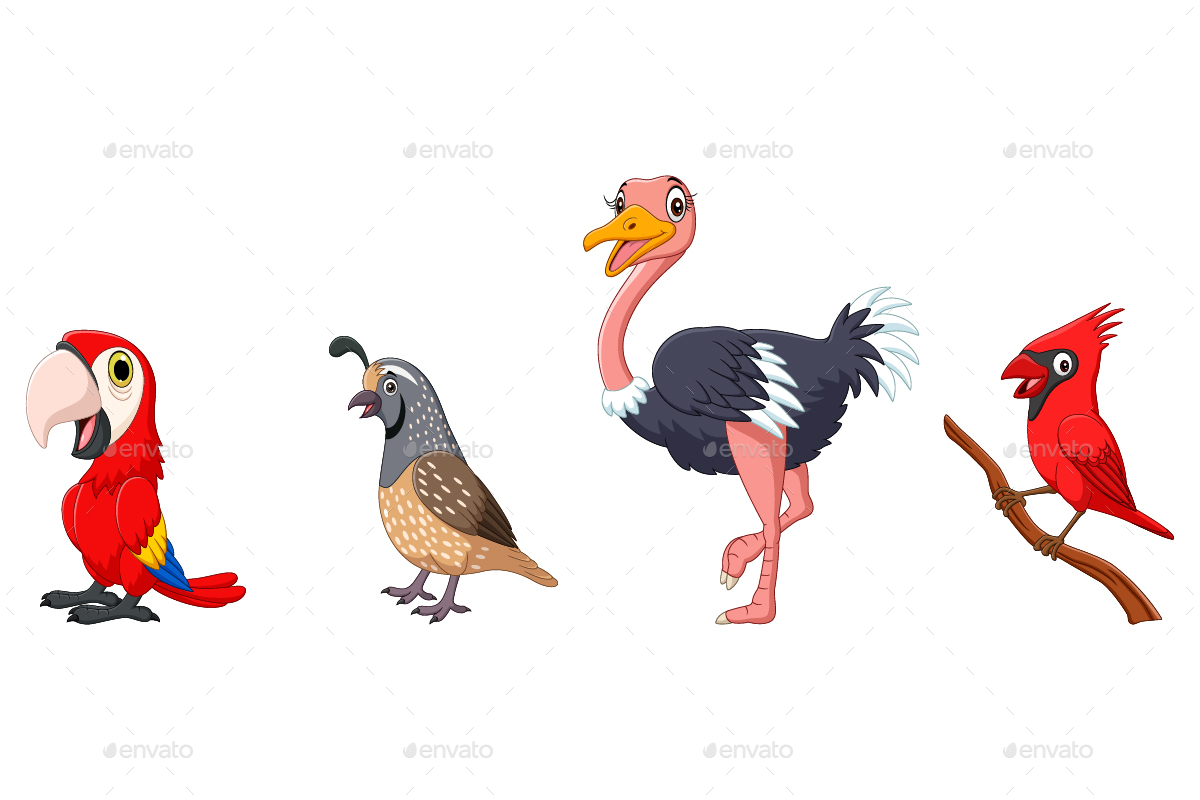 Set of Seven Cartoon Birds Character, Vectors | GraphicRiver