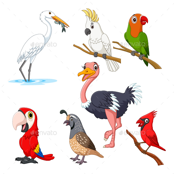 Set of Seven Cartoon Birds Character, Vectors | GraphicRiver