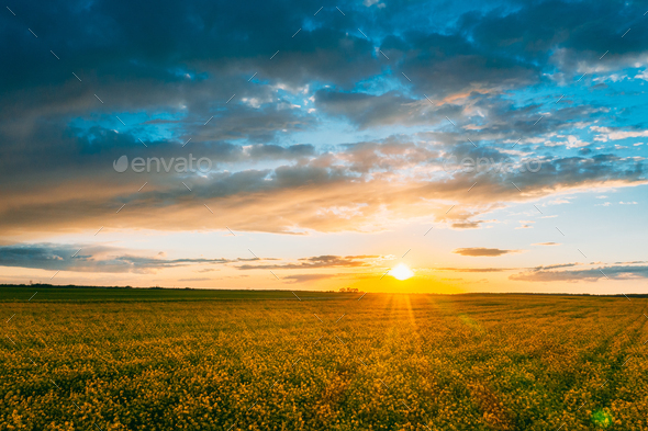 Sunshine Sky Photography