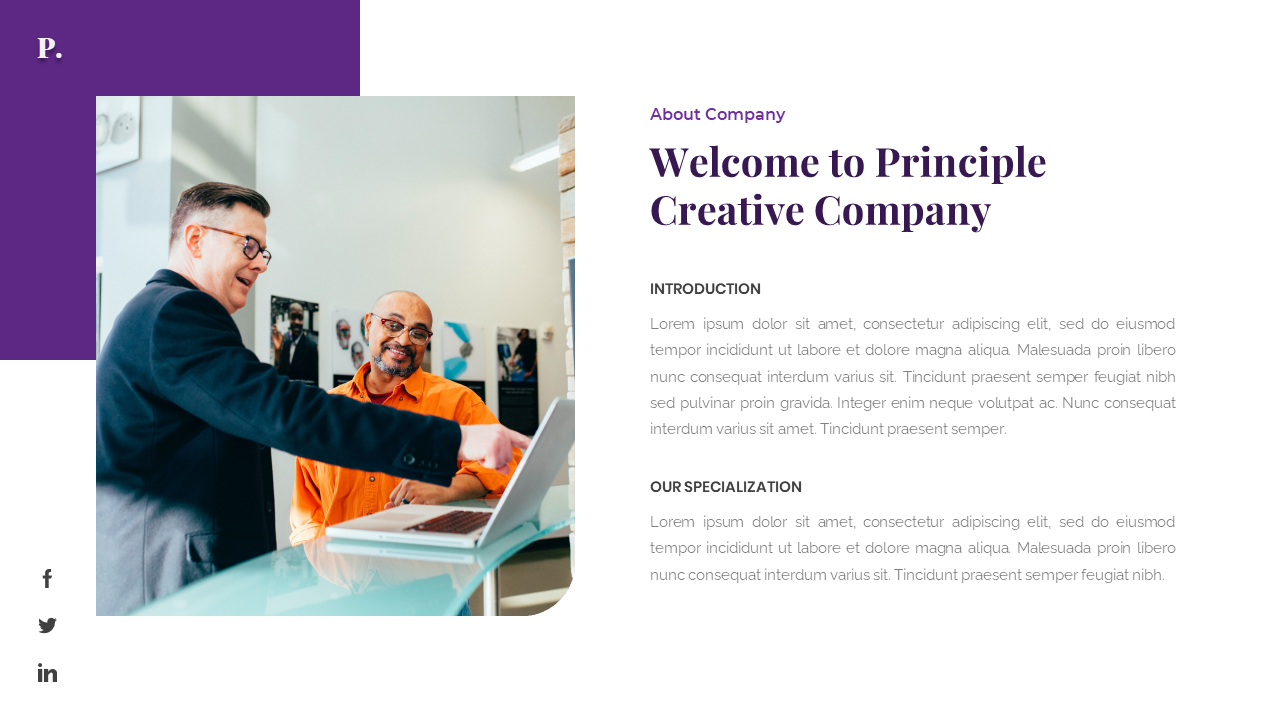 Principle Powerpoint Template, Presentation Templates | GraphicRiver