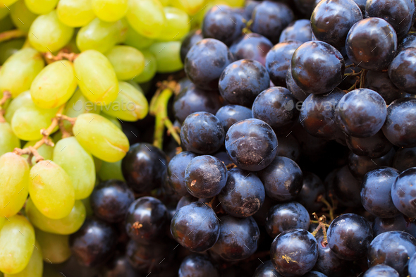 Grappes at the market Stock Photo by Netfalls | PhotoDune