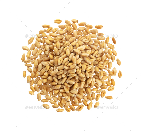 Wheat grains isolated on white background, top view Stock Photo by xamtiw