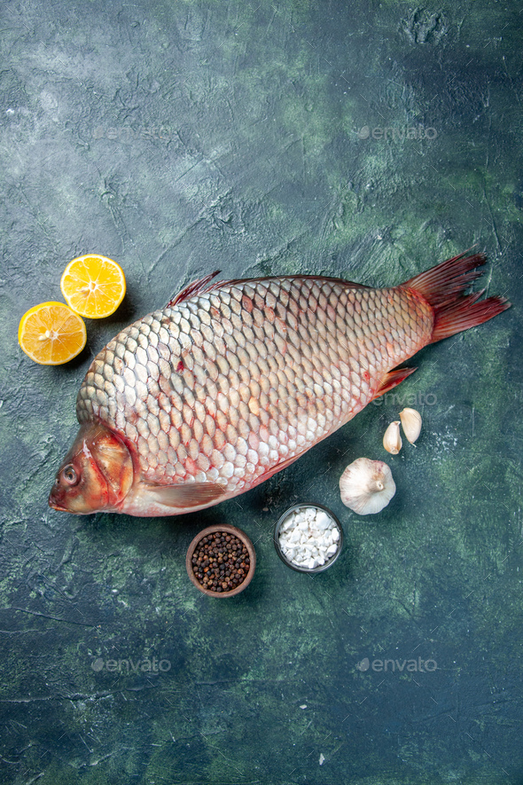 top view fresh raw fish on dark blue background meat water ocean food ...