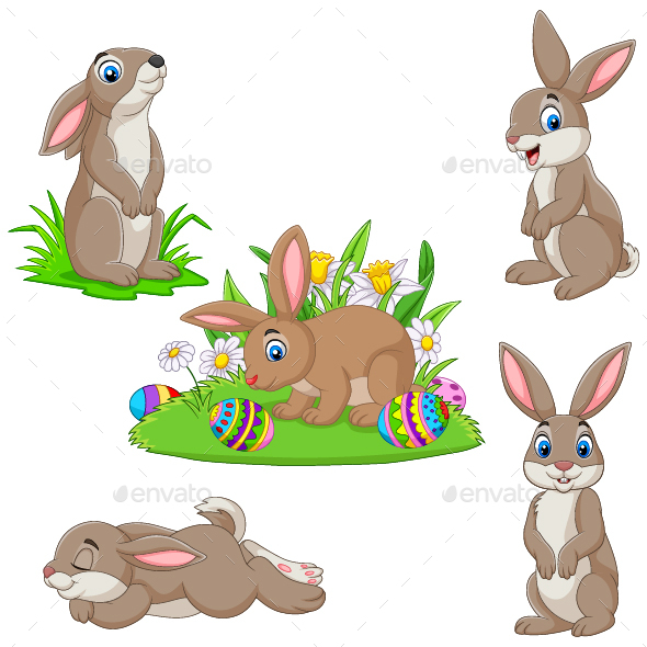 Set of Five Easter Bunny Collection, Vectors | GraphicRiver