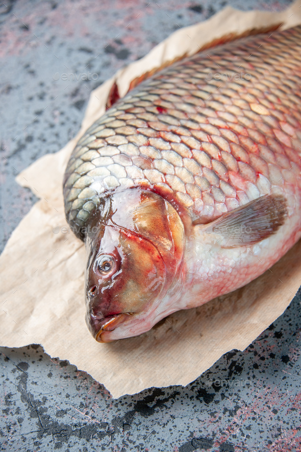 Fish front view Images - Search Images on Everypixel