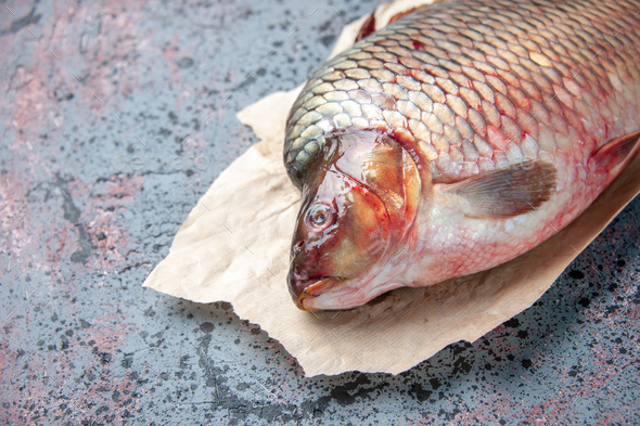 front view fresh raw fish on blue background meal meat water food ocean ...