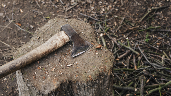 Axe on a tree stump Stock Photo by Rawpixel | PhotoDune