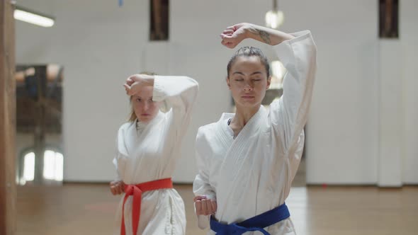 Front View of Martial Artsists Demonstrating Defending Poses, Stock Footage