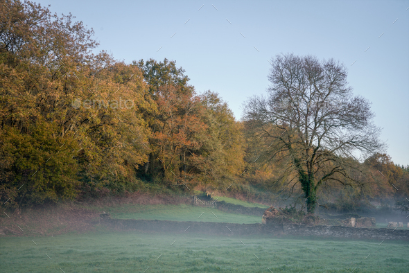 First lights of an autumnal day dissipate the mist in the fields Stock ...