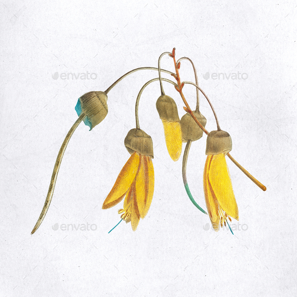 Yellow drooping flowers template Stock Photo by Rawpixel | PhotoDune
