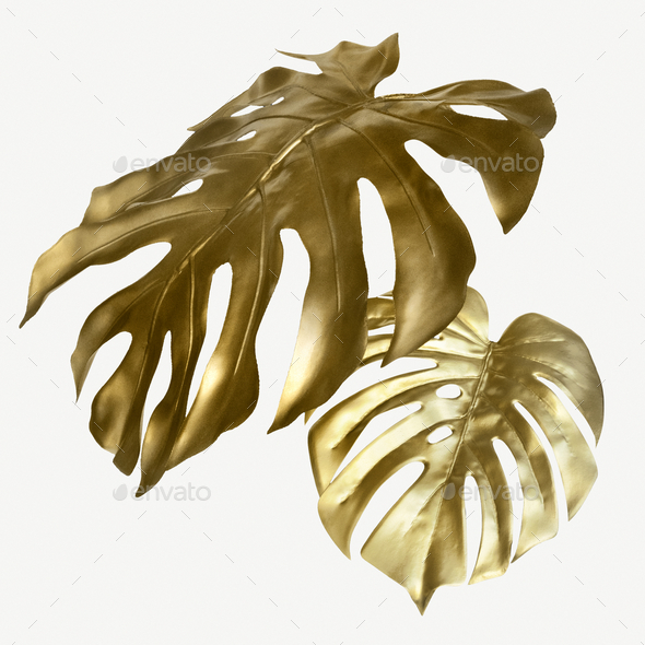 Shiny golden monstera leaves on a white background mockup Stock Photo ...