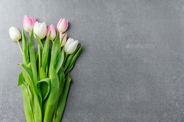 Spring background with tulips on pastel Stock Photo by kuban-kuban