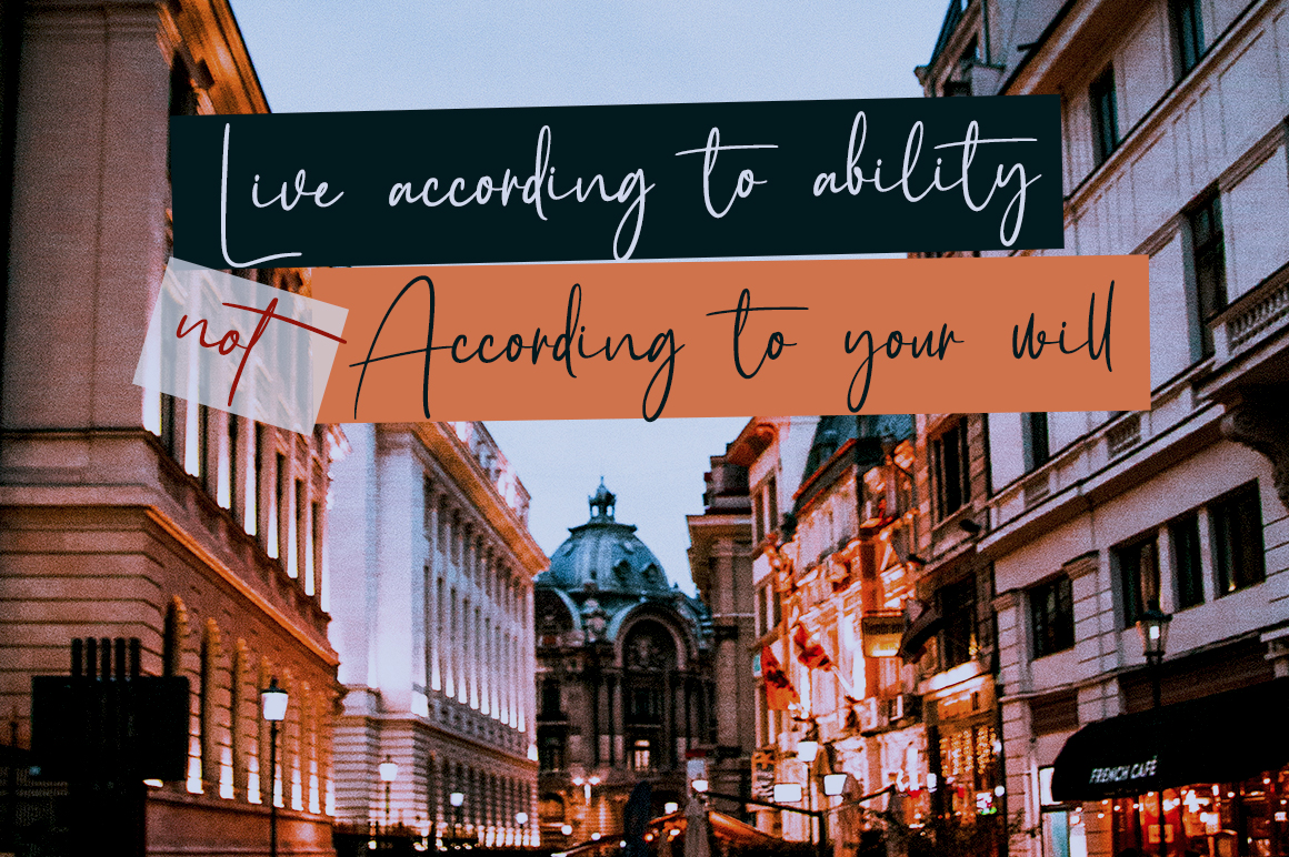 Holistic Signature - A Handwritten Signature Font, Fonts | GraphicRiver