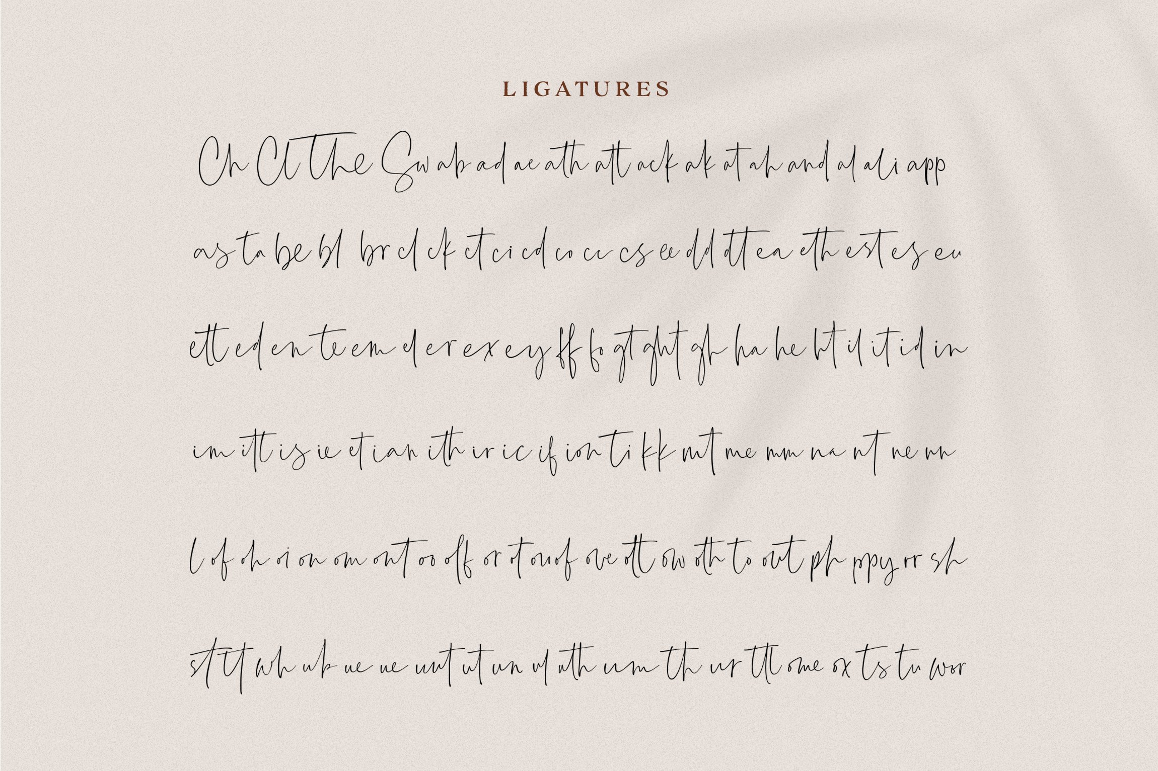 Everleigh Signature Script, Fonts | GraphicRiver