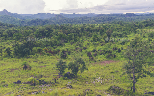 landscape view of nature scene, the western forest complex in Thailand ...