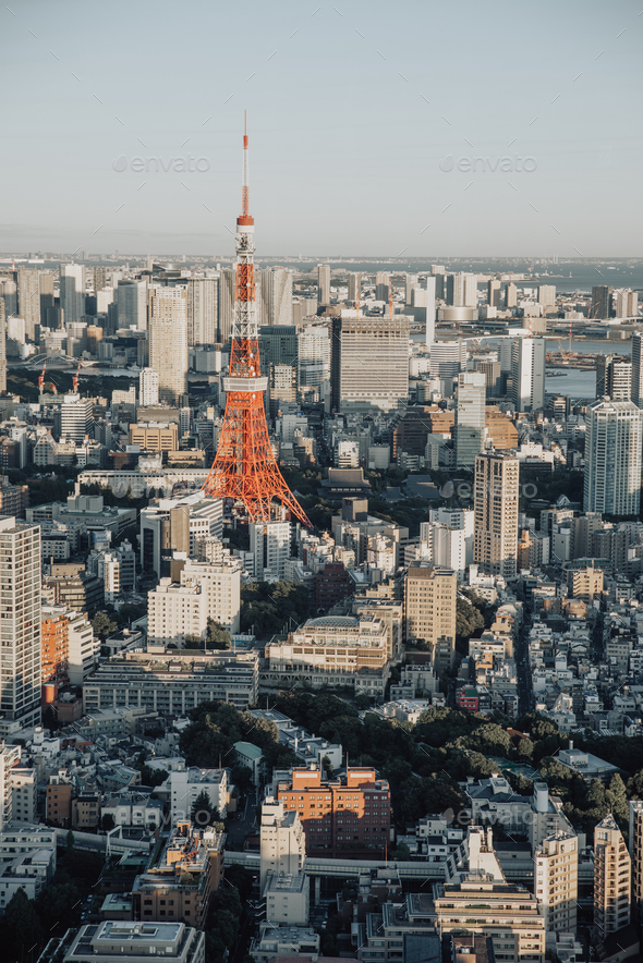 Tokyo skyline and buildings from above, view of the Tokyo tower Stock ...