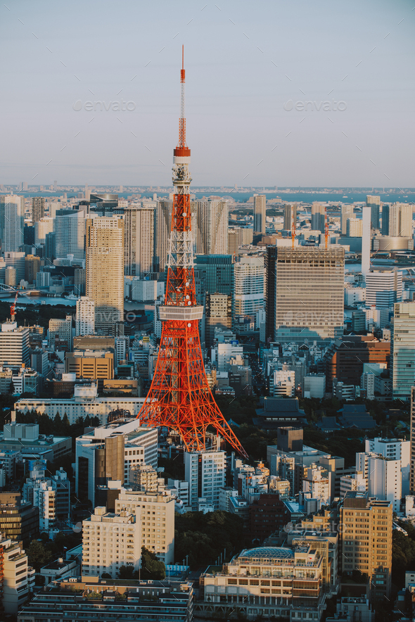 Tokyo skyline and buildings from above, view of the Tokyo tower Stock ...