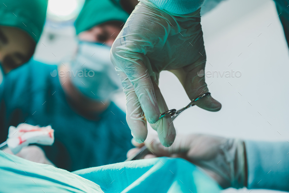 Medical team of surgeons in hospital doing invasive surgical ...