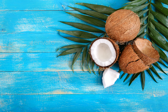Whole coconut, shell, green palm leaves on a blue Stock Photo by ...