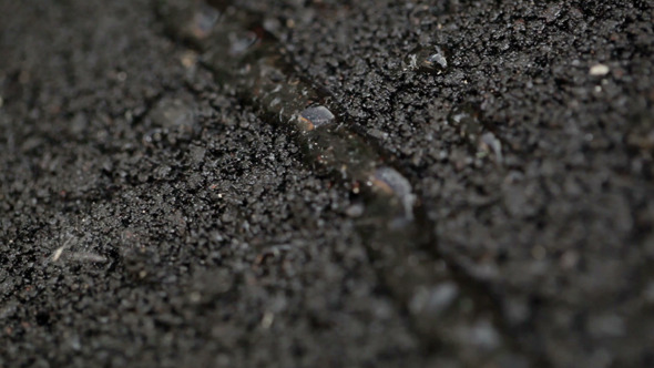 Thin Trickle On Asphalt, Stock Footage | VideoHive