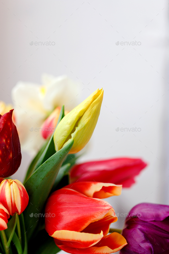 A bunch of tulips on the window. Still life with colorful tulip flowers ...
