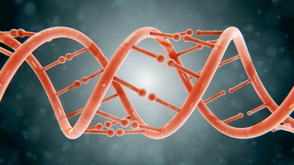 Dna Growth 02 Shot 02, Motion Graphics | VideoHive