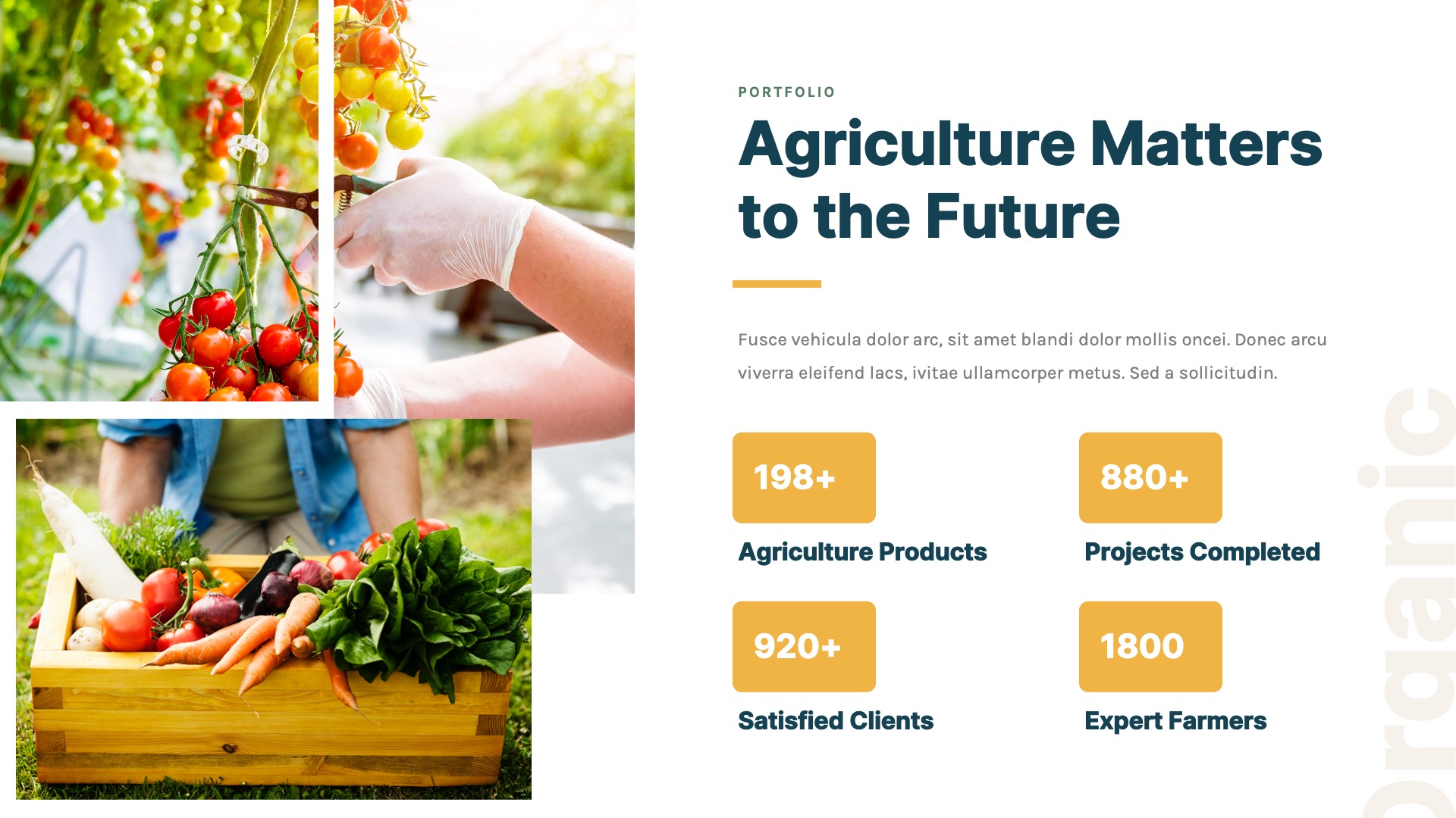 AGROLEA - Organic Farm Agriculture Powerpoint Template, Presentation ...
