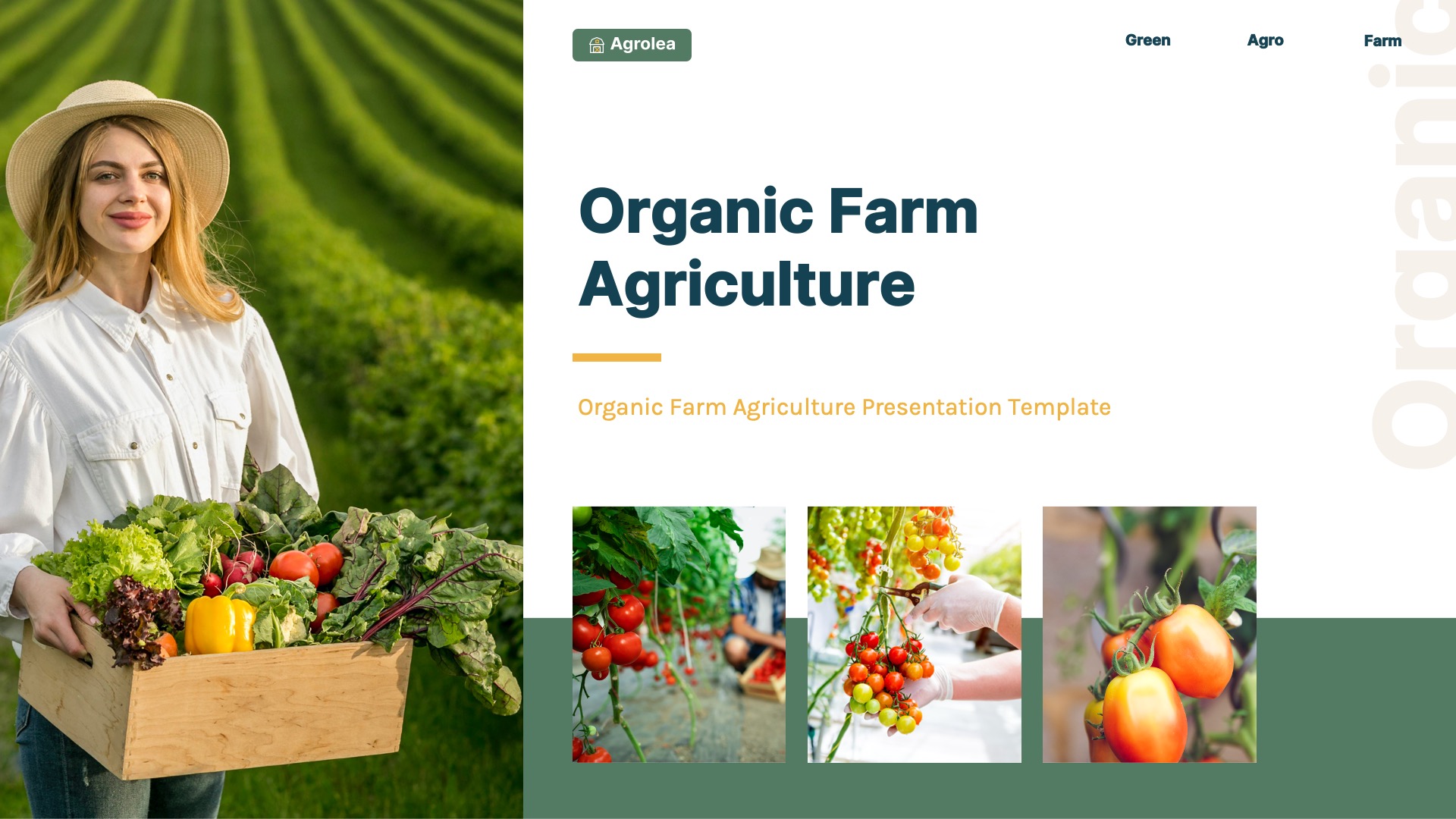 AGROLEA - Organic Farm Agriculture Powerpoint Template, Presentation ...