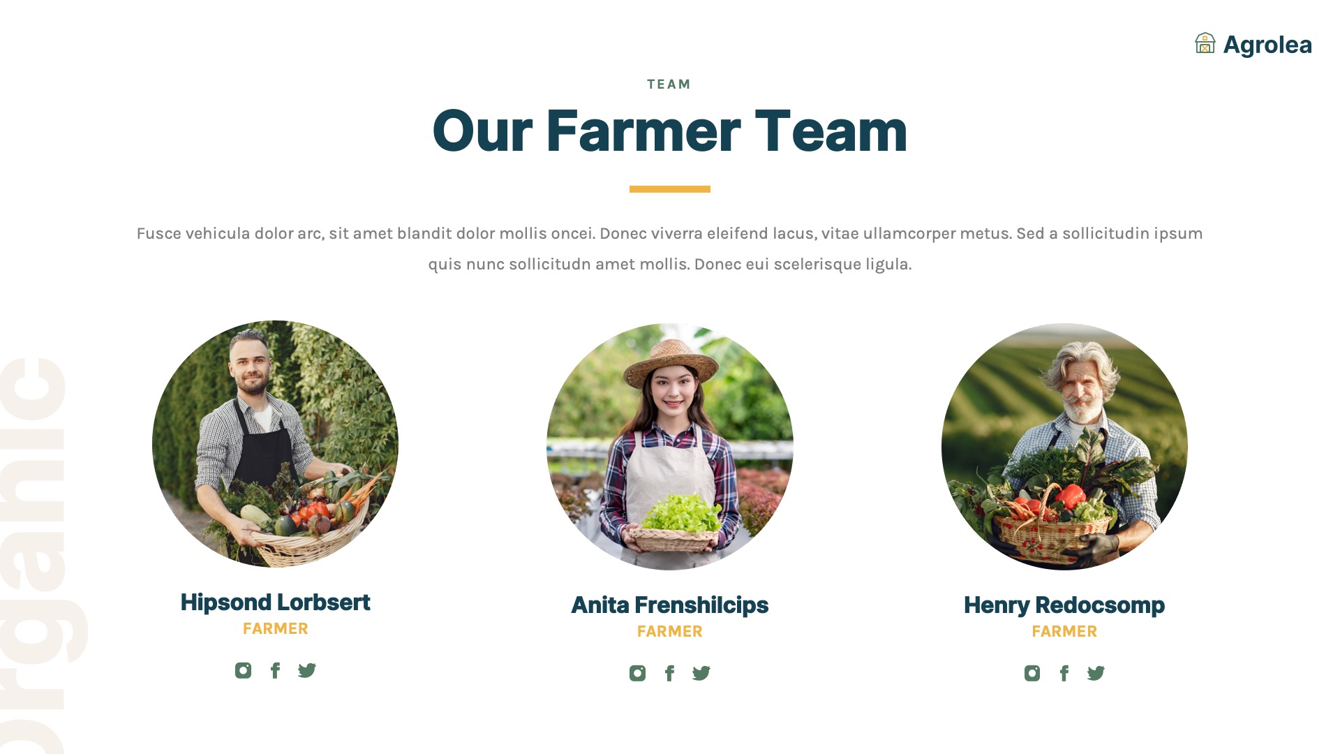 AGROLEA - Organic Farm Agriculture Google Slides Template, Presentation ...