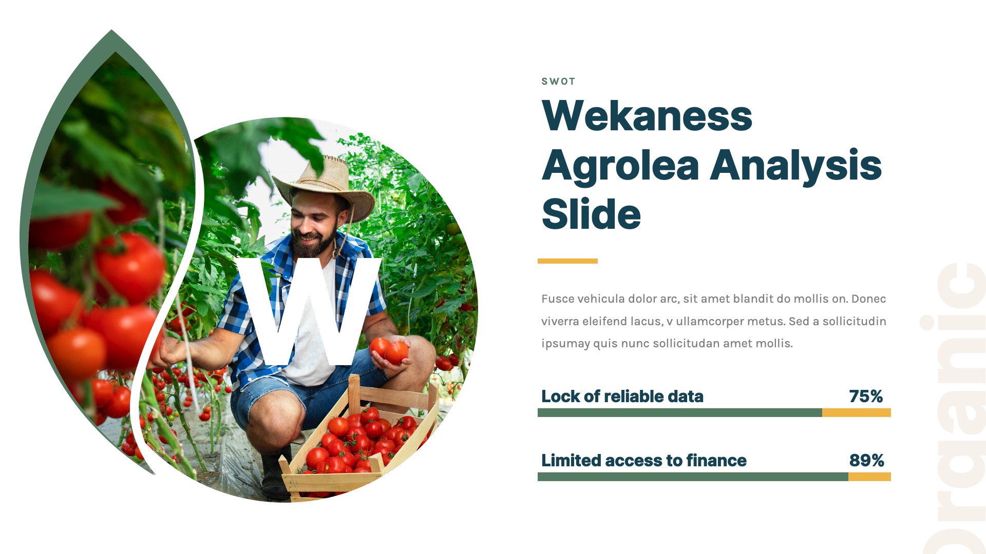 AGROLEA - Organic Farm Agriculture Google Slides Template, Presentation ...
