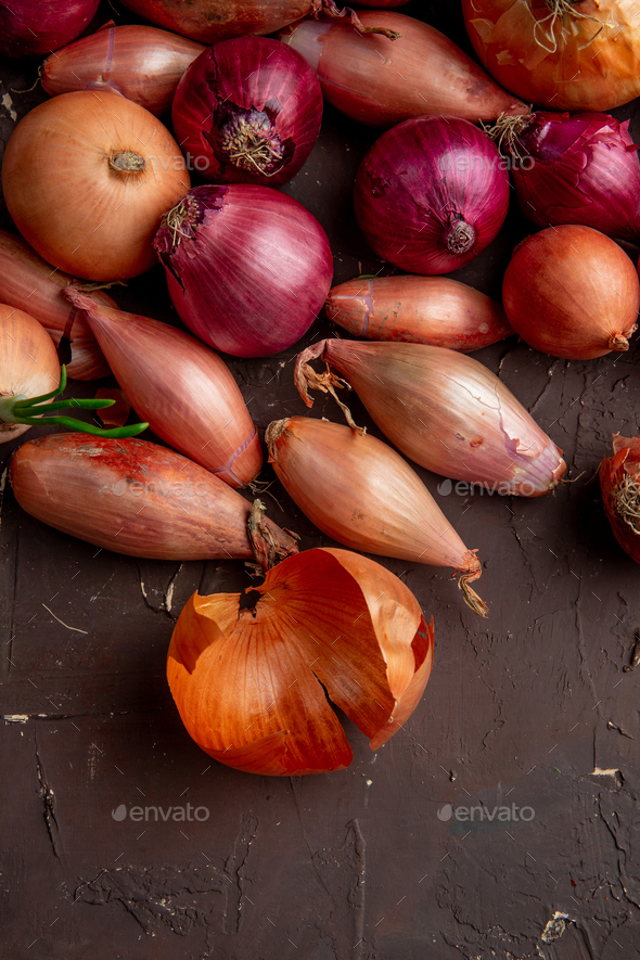 side view of onions with onion shell on maroon background with copy ...