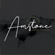 Amstone, Fonts | GraphicRiver