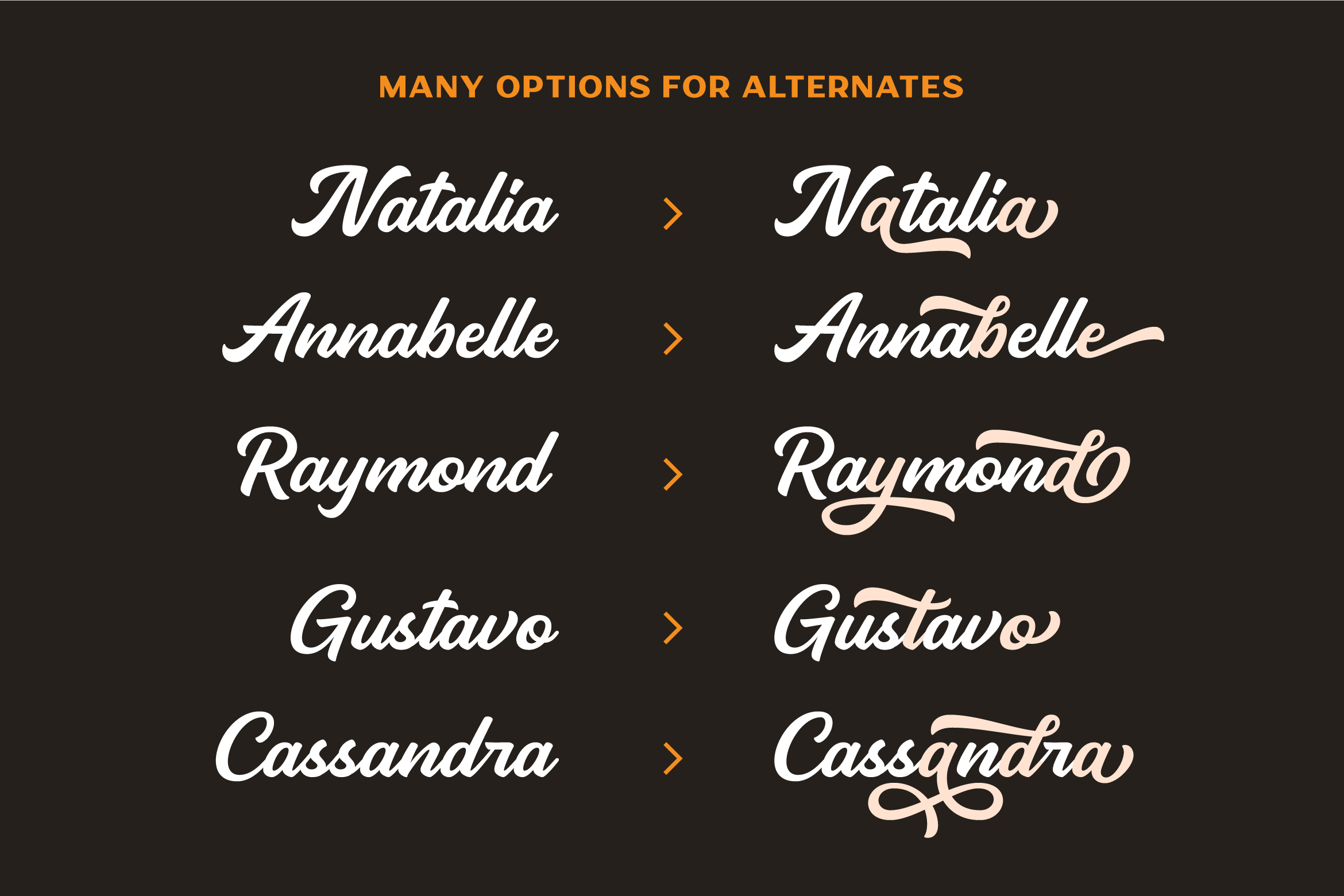 Pierce Jameson - Font Family, Fonts | GraphicRiver