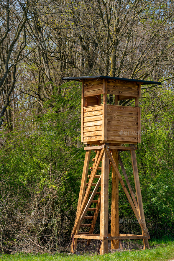 Hunter house in forest. Wooden Hunting Lodge Stock Photo by EwaStudio
