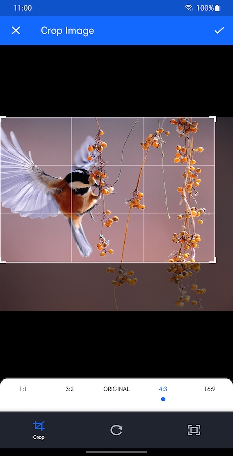 MightyEditor - Flutter Photo Editor / College App by MeetMighty ...