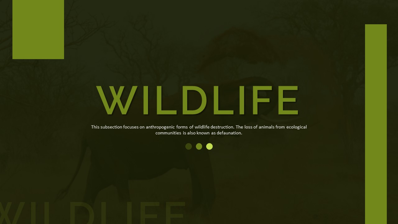 Wildlife Animal Presentation Template, Presentation Templates ...