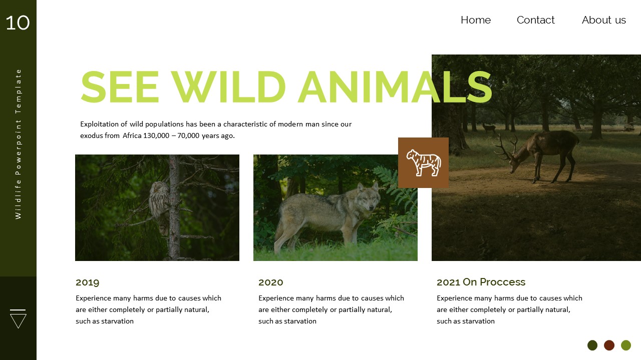 Wildlife Animal Presentation Template, Presentation Templates ...