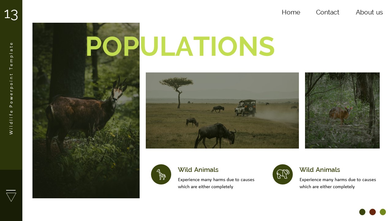 Wildlife Animal Presentation Template, Presentation Templates ...
