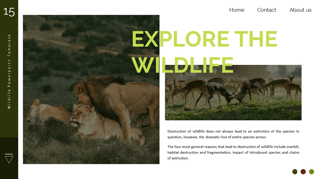 Wildlife Animal Presentation Template, Presentation Templates ...