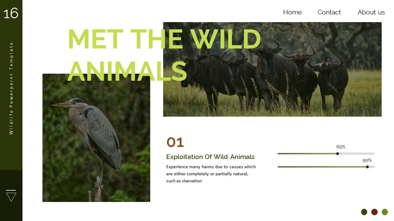 Wildlife Animal Presentation Template, Presentation Templates ...