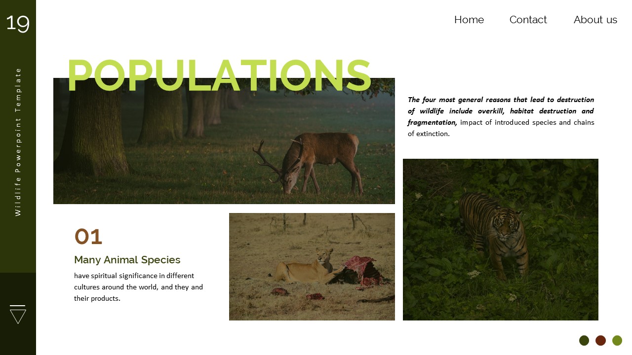 Wildlife Animal Presentation Template, Presentation Templates ...